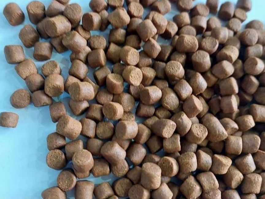 Корм для прудовой рыбы