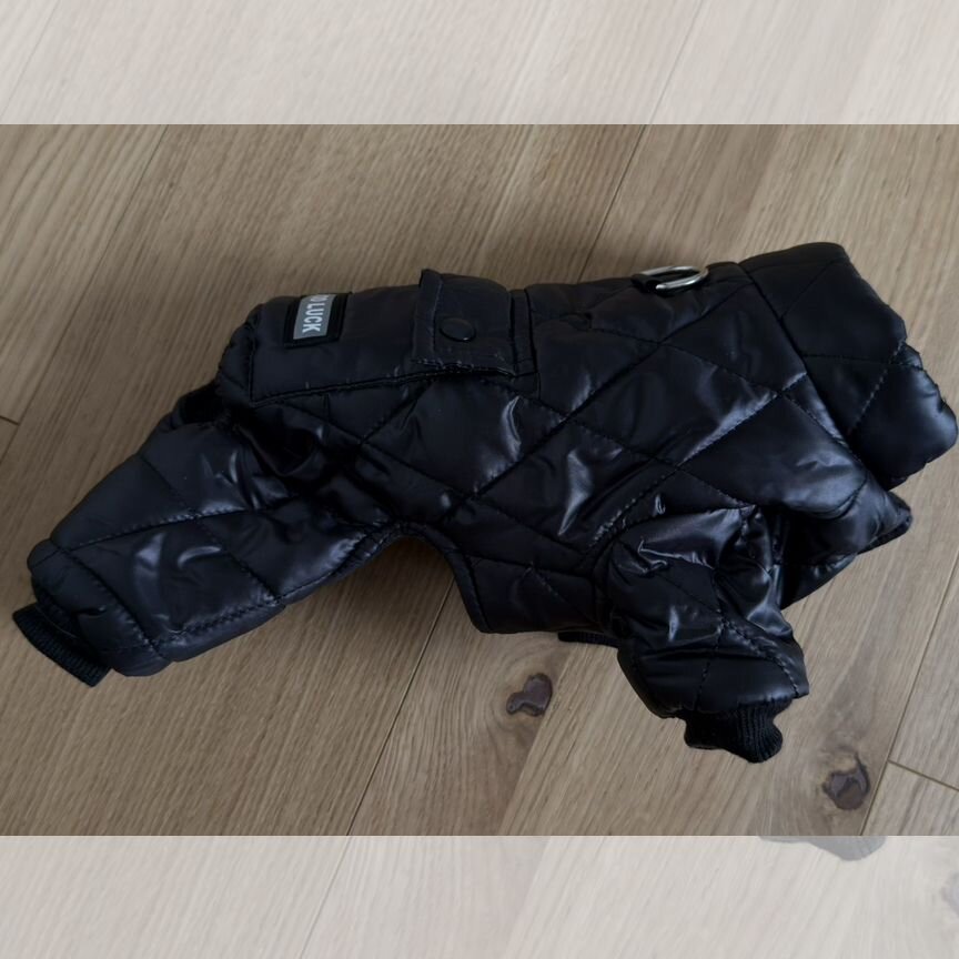 Одежда для маленьких мини собак