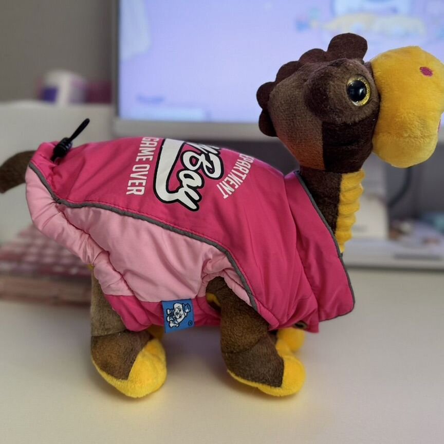 Жилетки весенние для маленькой собаки щенка