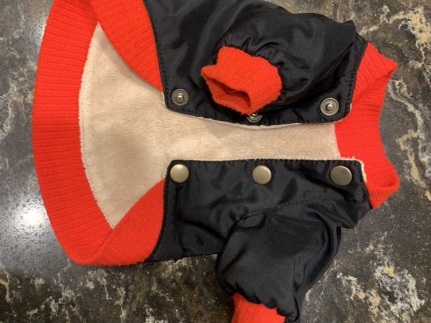 Куртка и комбинезон Dogmoda Puppy Angel S