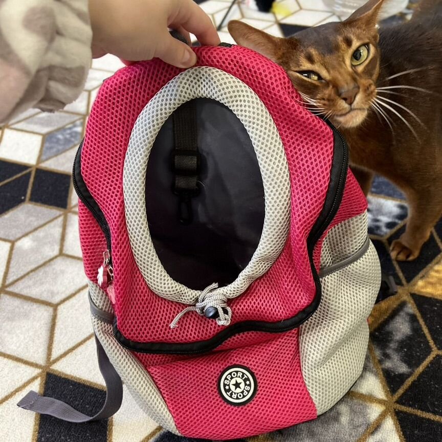 Рюкзак переноска для животных