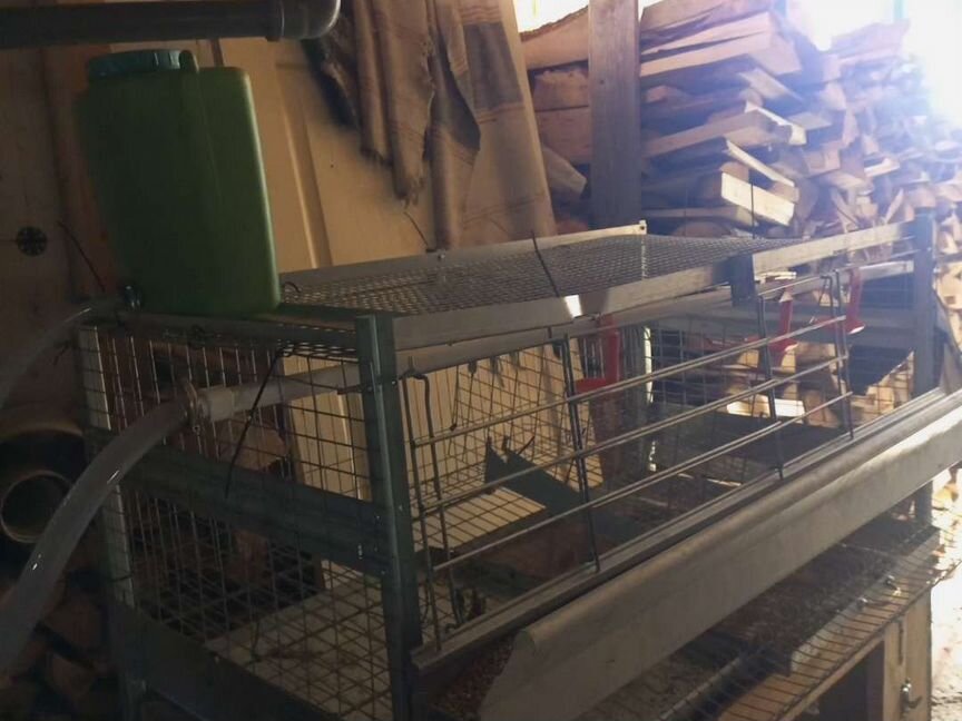 Клетка для кур - несушек