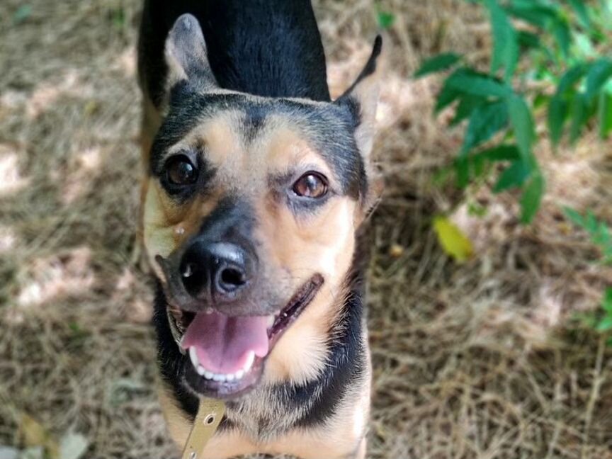 Найде очень нужен дом