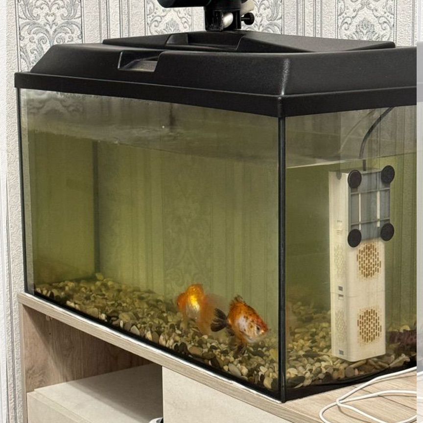 Аквариум 100 литров с рыбками
