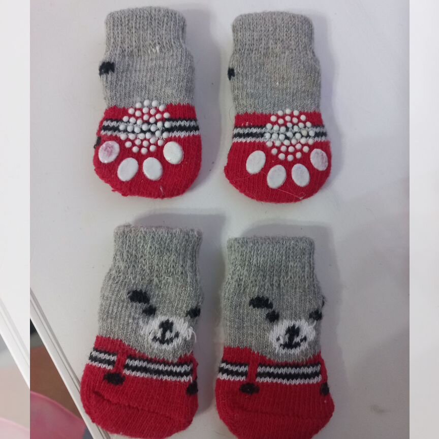 Носочки для маленькой собачки