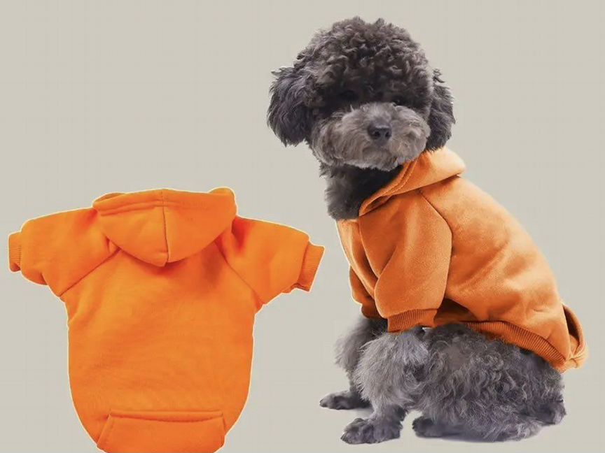 Толстовка для собак