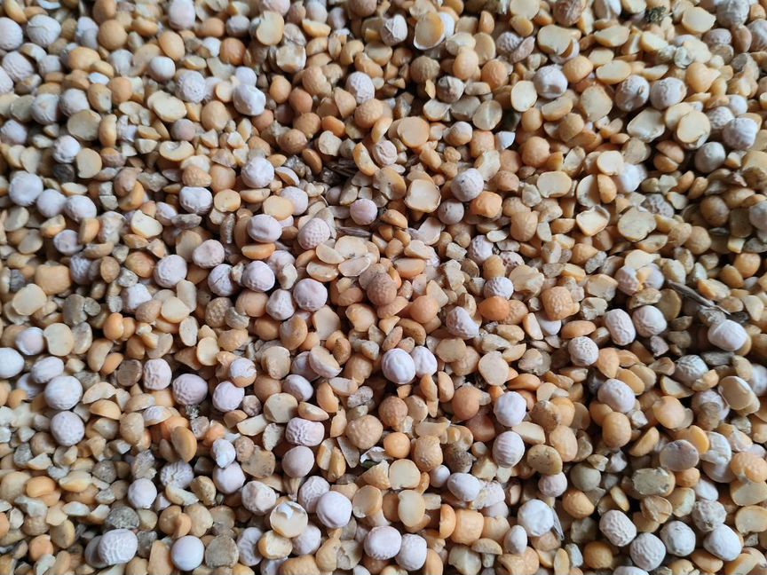 Горох колотый пшеница