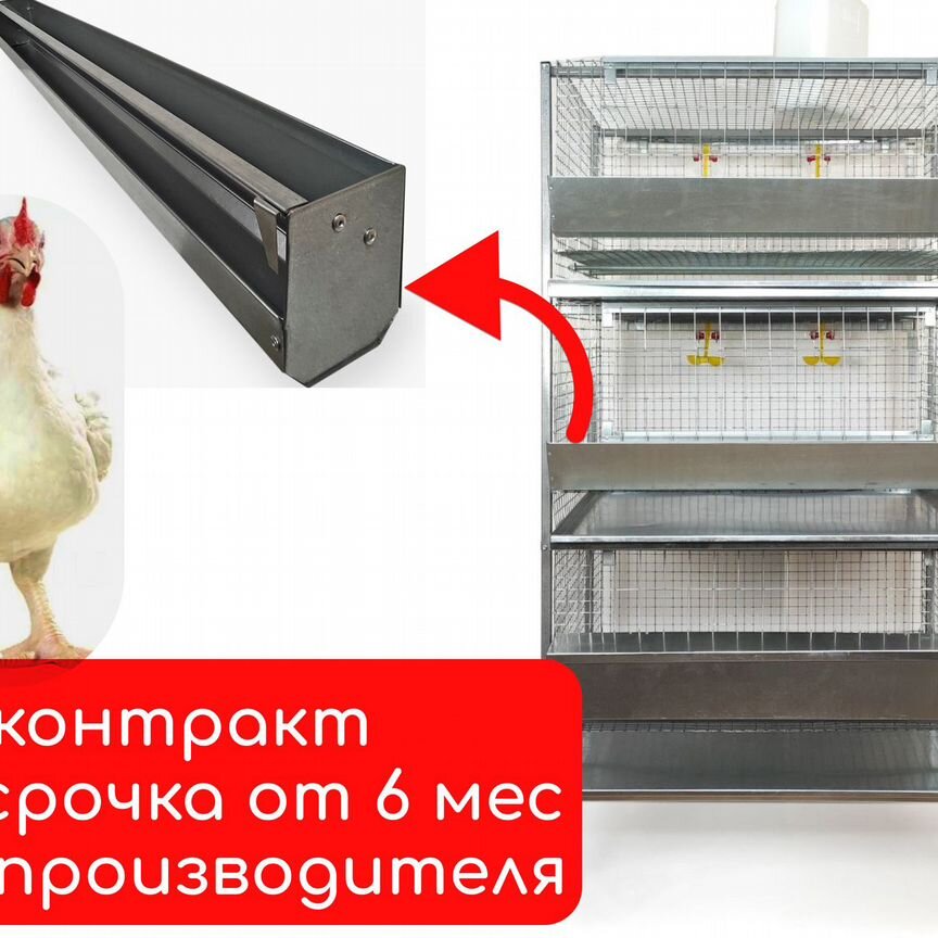 Клетка для бройлеров 45 голов с бункерными кормушк