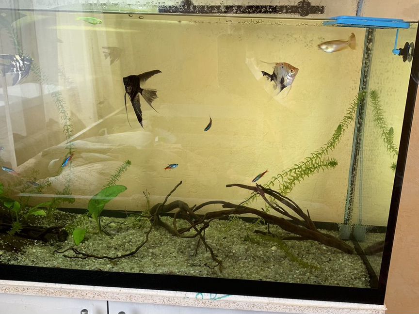 Аквариум с тумбой