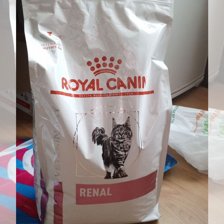 Сухой корм для кошек royal canin renal