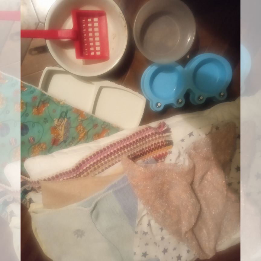 Вещи для животных