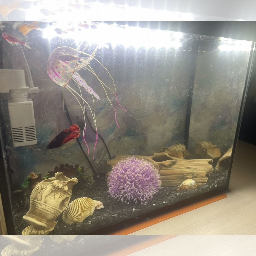 Аквариум с рыбками