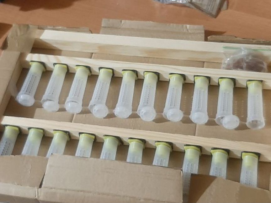 Поилка. Прививочная рамка для вывода маток