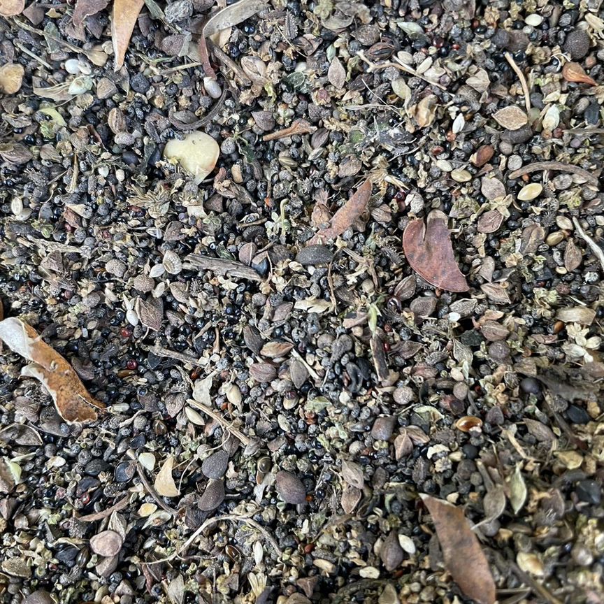 Отходы рапс+ чечевица