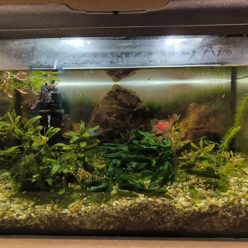 Аквариум в сборе с рыбками