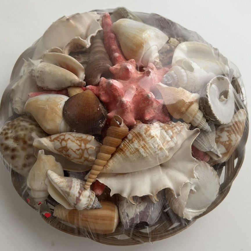 Набор ракушек для аквариума