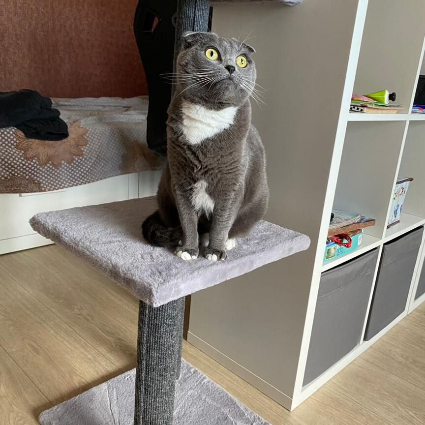 Игровой комплекс для кошек