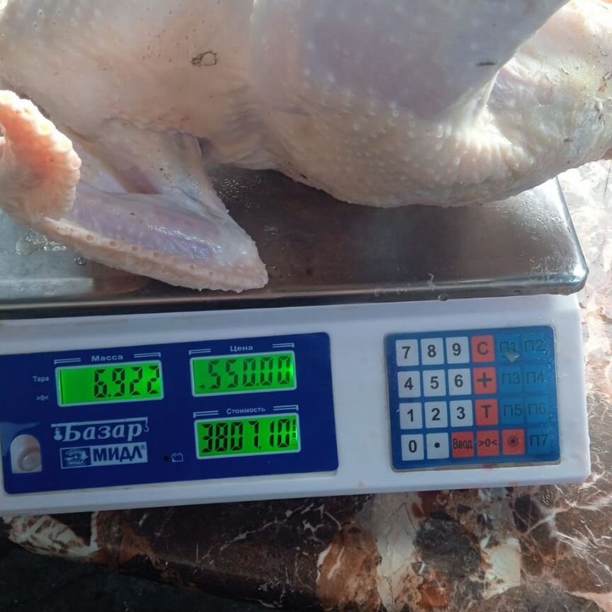 Продаю индюков