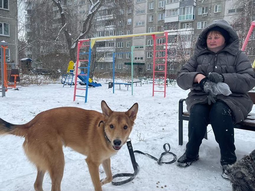 Отдадим в хорошие, добрые руки собаку