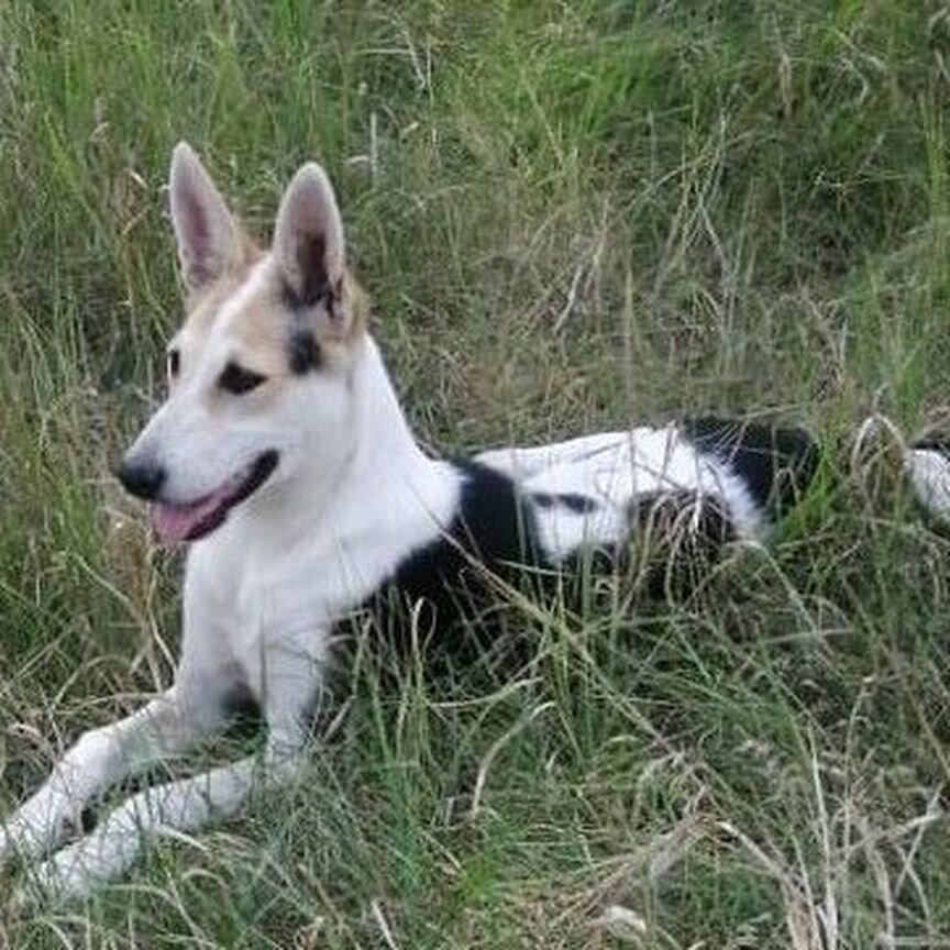 Девочка-подросток ищет любящую семьи