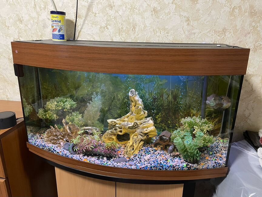 Аквариум, рыбки, фильтр