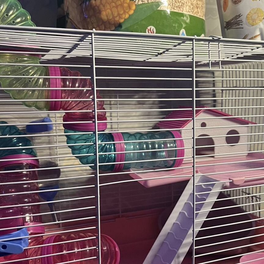 Клетка для грызунов (наполнитель и корм)