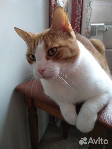 Бросили, как ненужную вещь