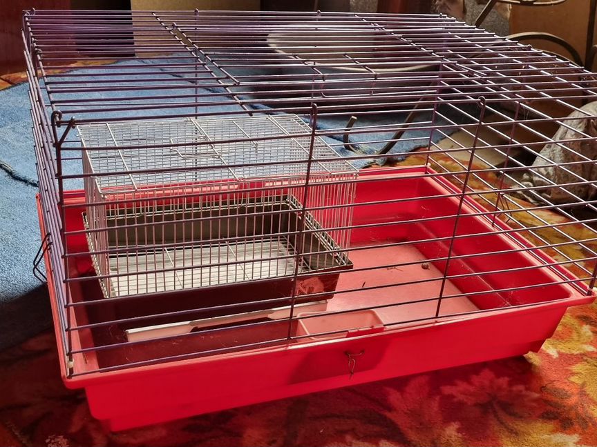 Клетка для грызунов большая