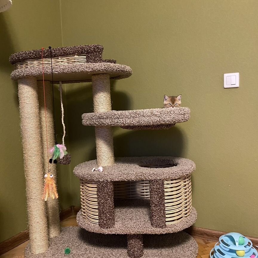 Домик для котов с когтеточкой