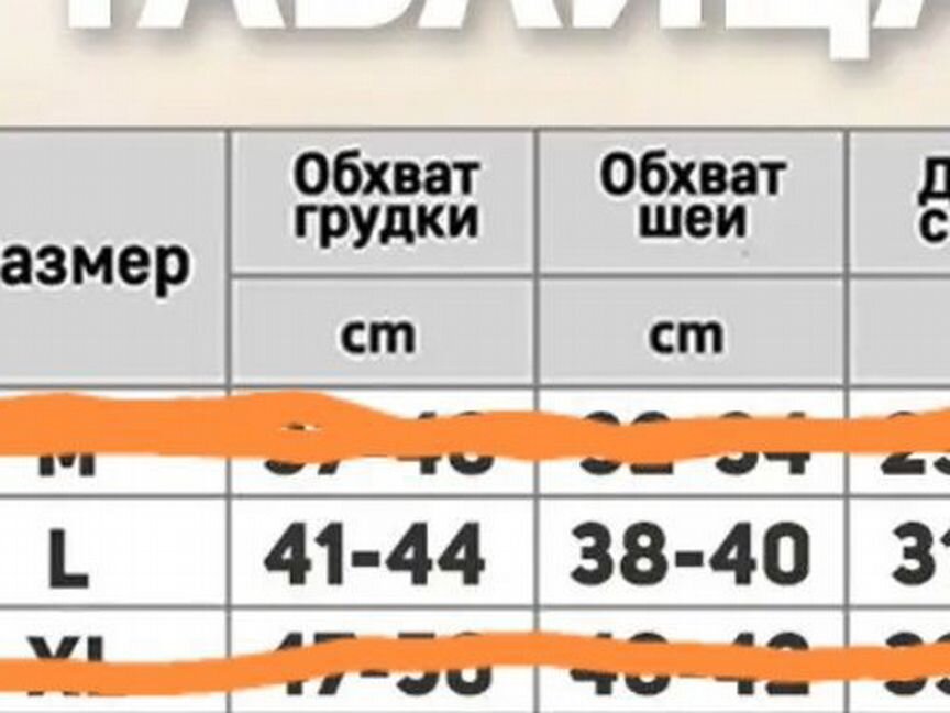Одежда для собак