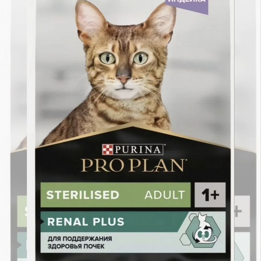 Корм для кошек