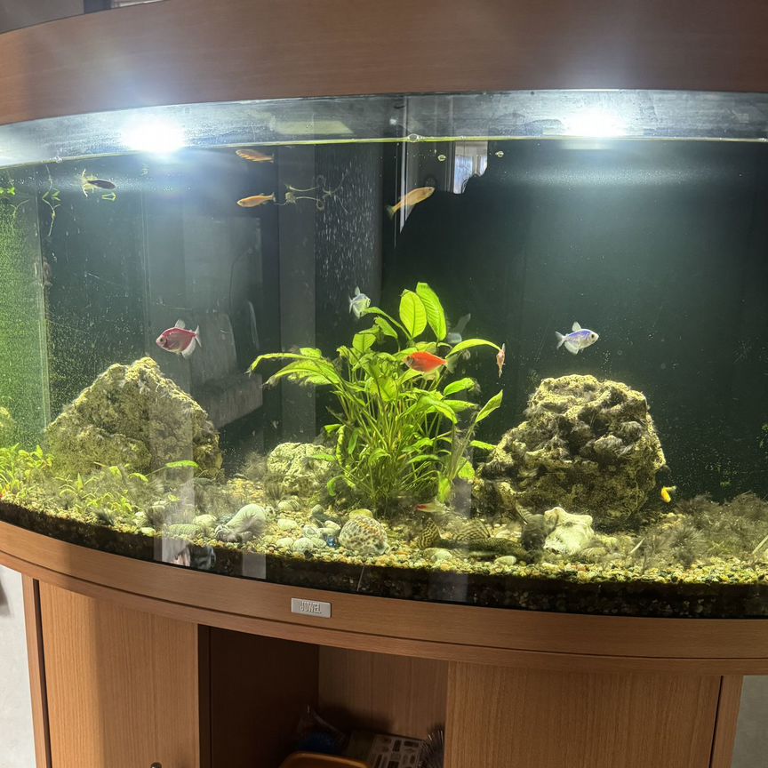 Аквариум с тумбой juwel 180 литров