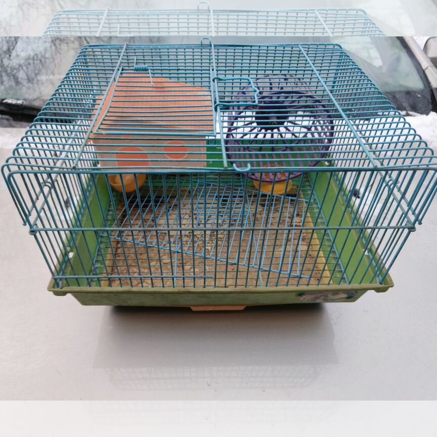 Клетка и аквариум