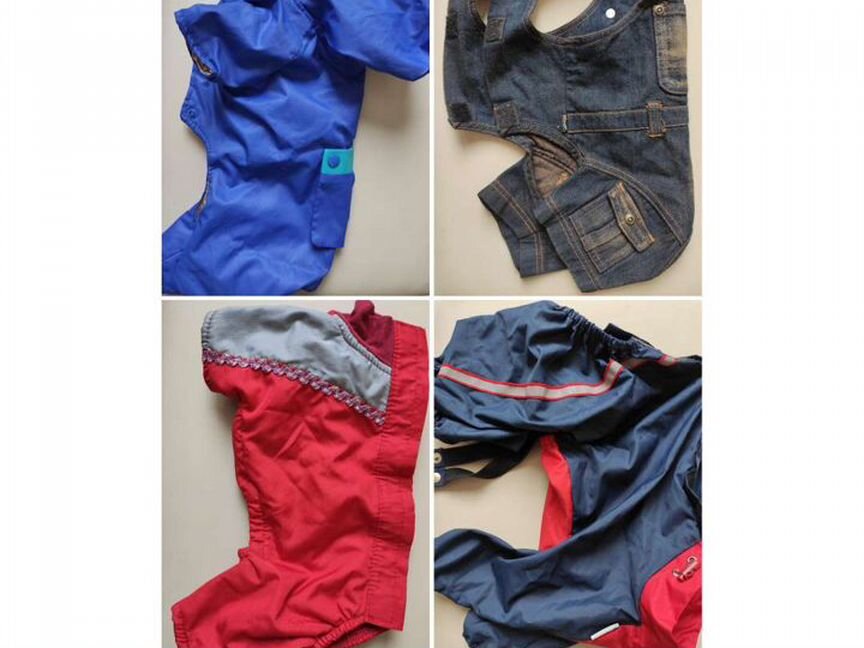 Дождевик, комбинезон для маленькой собачки