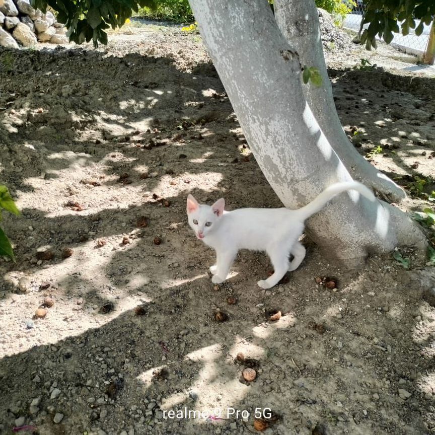 Малышам нужен дом