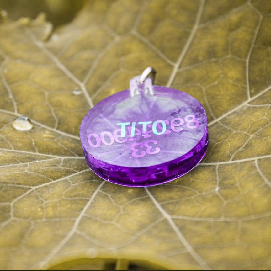 Адресники для питомцев