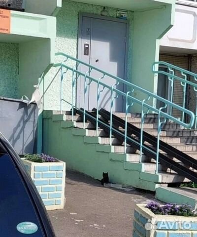 Котик подростокв добрые ручки