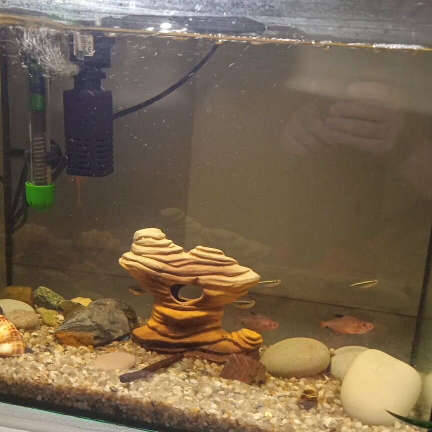 Аквариум 40 л. с рыбками бу