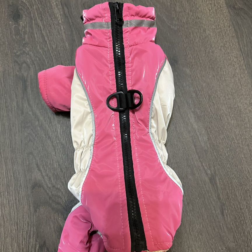 Одежда для собак мелких пород