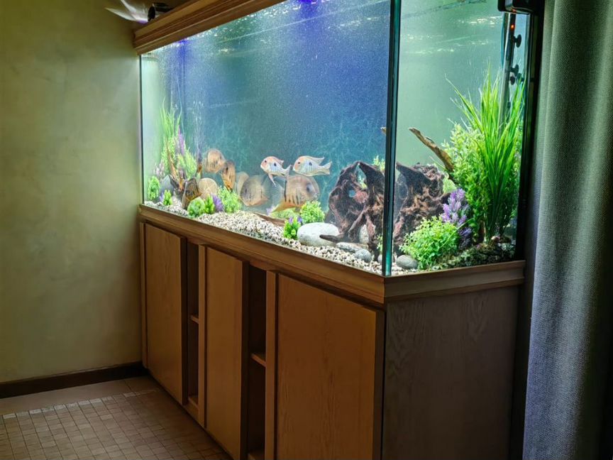 Аквариум с тумбой 700л