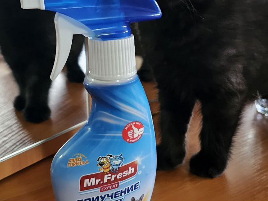 Спрей для приучения к месту