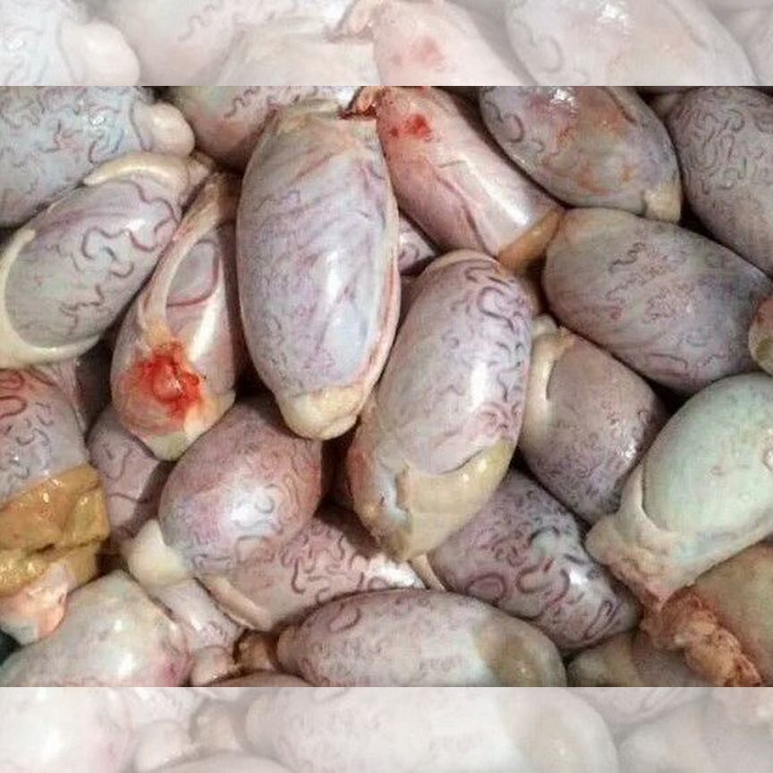 Мясо для собак,яйца быка