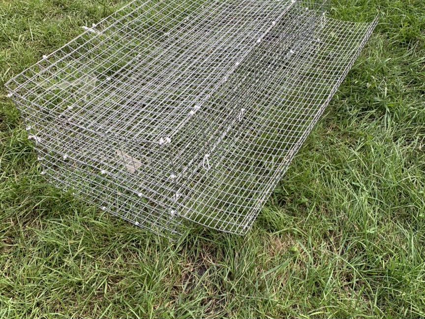 Клетка для перепелок