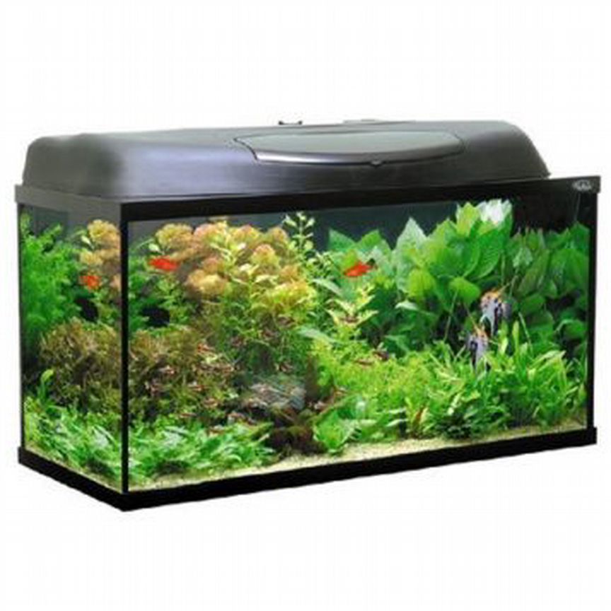 Аквариум с тумбой