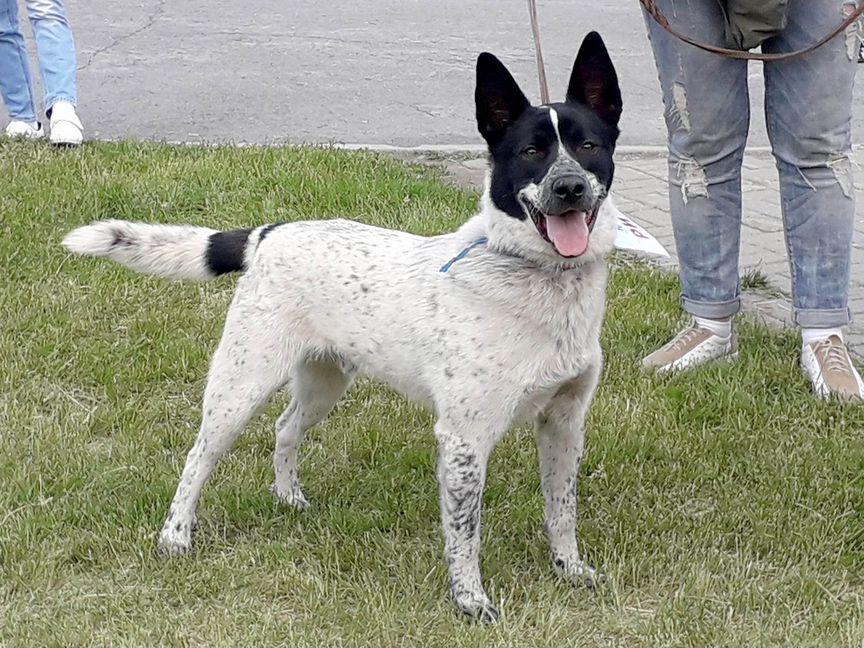 Рич в поиске своей семьи