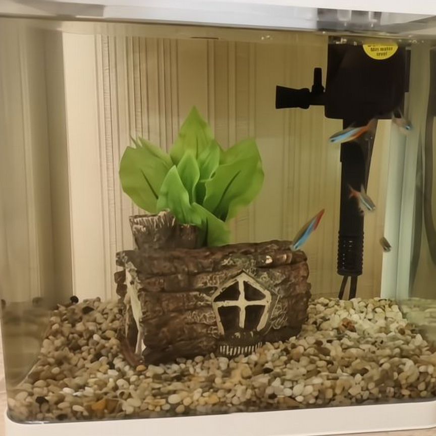 Аквариум 10 литров с рыбками