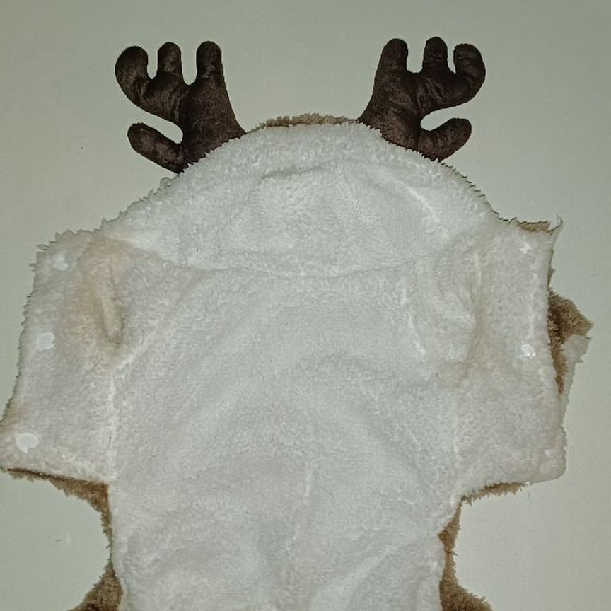 Одежда для кошек и мелких собак