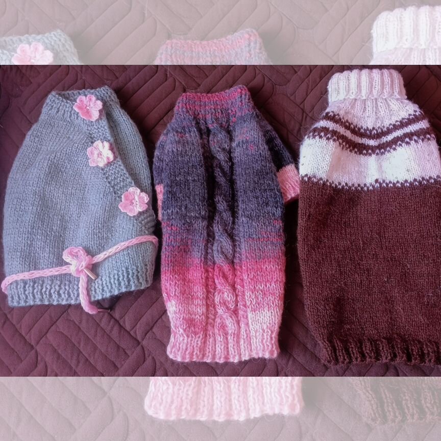 Одежда для маленьких собак