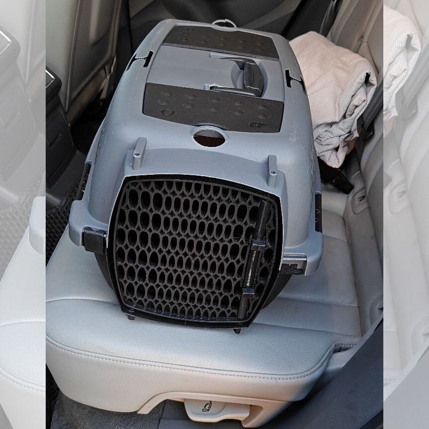 Переноска для кошек