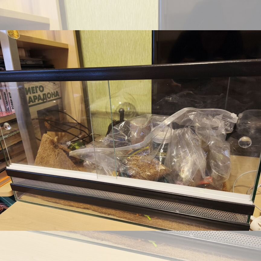 Террариум для рептилий и сухопутных черепах б/у